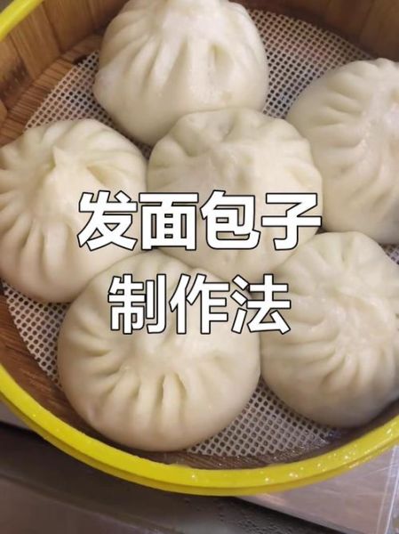 怎样学做发面做包子_新手第一次做包子要注意什么-第1张图片-山城妙识