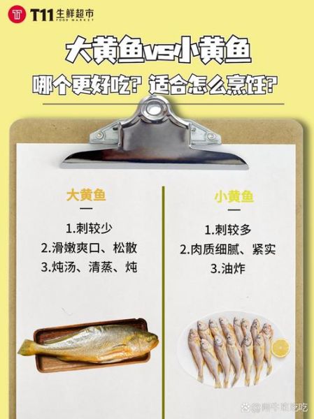 大黄鱼和小黄鱼的区别_如何一眼分辨-第1张图片-山城妙识 大黄鱼和小黄鱼的区别_如何一眼分辨-第1张图片-山城妙识