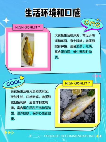 大黄鱼和小黄鱼的区别_如何一眼分辨-第2张图片-山城妙识 大黄鱼和小黄鱼的区别_如何一眼分辨-第2张图片-山城妙识