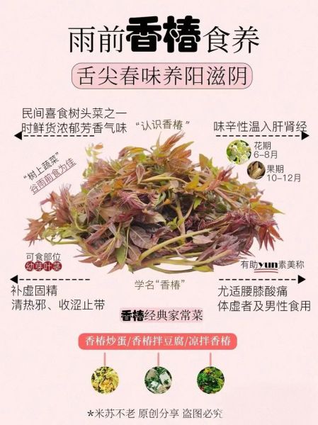 香椿拌豆腐的功效与作用_怎么做才好吃-第1张图片-山城妙识 香椿拌豆腐的功效与作用_怎么做才好吃-第1张图片-山城妙识
