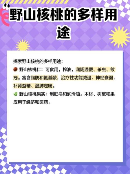 野生核桃的营养价值_野生核桃怎么挑选-第1张图片-山城妙识 野生核桃的营养价值_野生核桃怎么挑选-第1张图片-山城妙识
