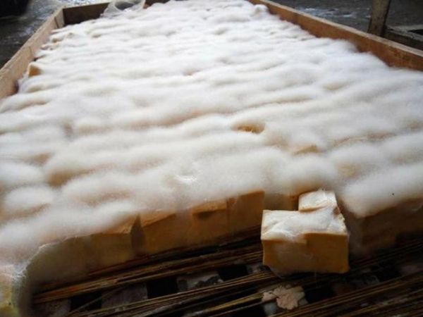 霉豆腐发霉颜色异常_还能吃吗-第3张图片-山城妙识 霉豆腐发霉颜色异常_还能吃吗-第3张图片-山城妙识