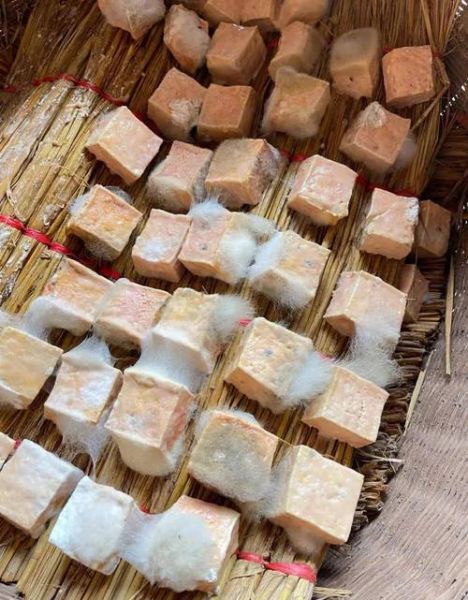 霉豆腐发霉颜色异常_还能吃吗-第1张图片-山城妙识 霉豆腐发霉颜色异常_还能吃吗-第1张图片-山城妙识