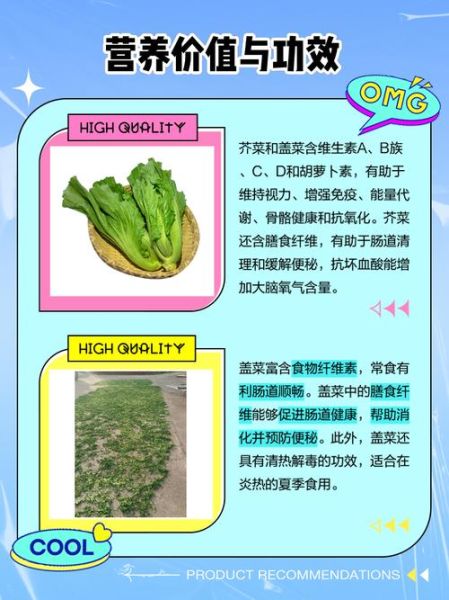 盖菜怎么做好吃_盖菜和芥菜的区别-第1张图片-山城妙识 盖菜怎么做好吃_盖菜和芥菜的区别-第1张图片-山城妙识