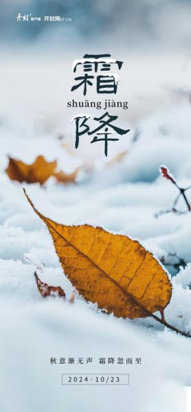 霜降图片大全大图哪里找_如何挑选高清霜降壁纸-第3张图片-山城妙识