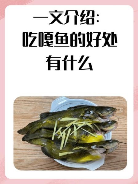 嘎鱼的功效与作用_嘎鱼适合什么人吃-第2张图片-山城妙识