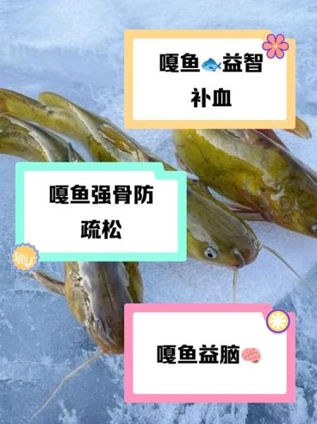 嘎鱼的功效与作用_嘎鱼适合什么人吃-第3张图片-山城妙识