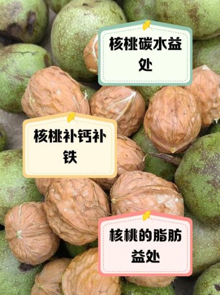 新鲜核桃的营养价值_新鲜核桃一天吃几个最好-第1张图片-山城妙识 新鲜核桃的营养价值_新鲜核桃一天吃几个最好-第1张图片-山城妙识