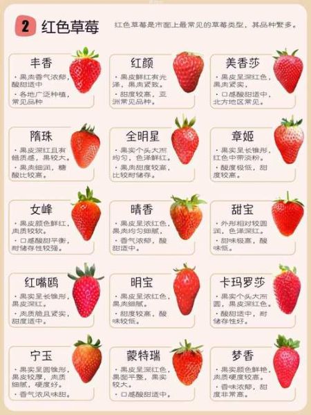 草莓品种排名_哪个品种最甜-第1张图片-山城妙识 草莓品种排名_哪个品种最甜-第1张图片-山城妙识