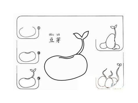 绿豆图片简笔画怎么画_绿豆卡通简笔画教程-第1张图片-山城妙识