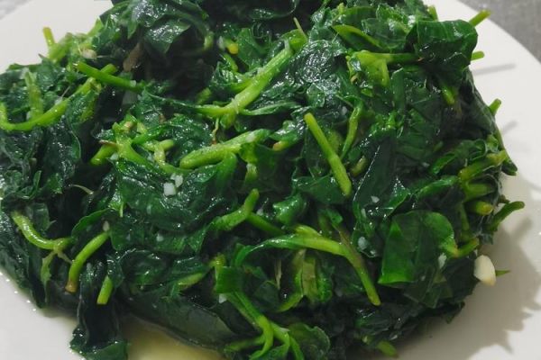 竹叶菜怎么炒好吃_竹叶菜图片高清-第2张图片-山城妙识