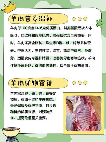 羊肉的功效与作用_羊肉的营养价值高吗-第2张图片-山城妙识 羊肉的功效与作用_羊肉的营养价值高吗-第2张图片-山城妙识