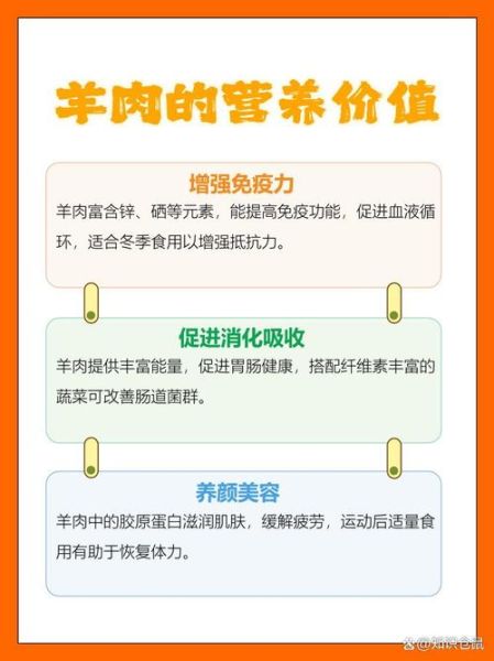 羊肉的功效与作用_羊肉的营养价值高吗-第3张图片-山城妙识 羊肉的功效与作用_羊肉的营养价值高吗-第3张图片-山城妙识