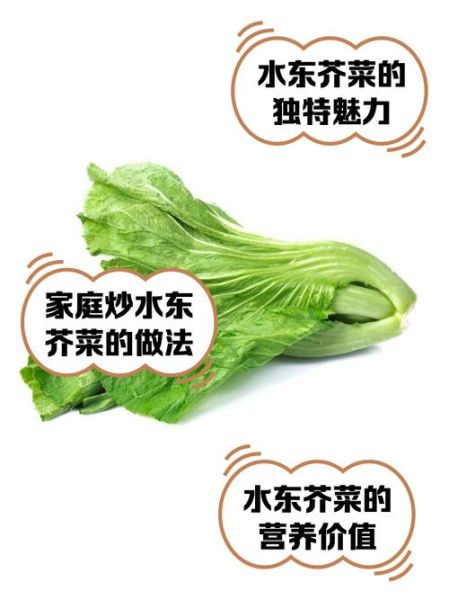 水东芥菜怎么炒好吃_水东芥菜的做法窍门-第2张图片-山城妙识