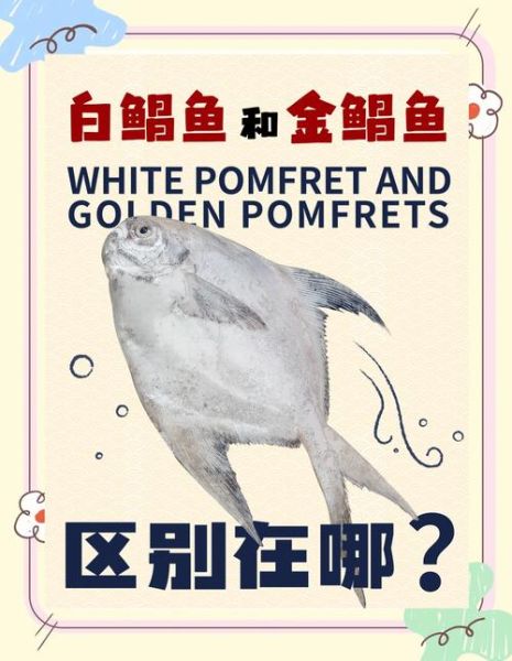 平鱼和鲳鱼的区别_哪个更好吃-第1张图片-山城妙识