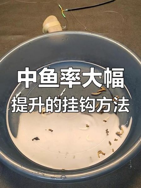 面包虫钓鱼效果怎么样_面包虫钓什么鱼最好-第1张图片-山城妙识 面包虫钓鱼效果怎么样_面包虫钓什么鱼最好-第1张图片-山城妙识