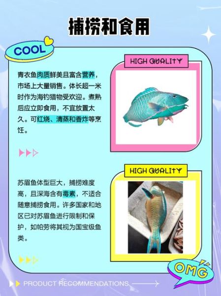 青衣鱼是什么鱼_青衣鱼图片怎么鉴别真假-第3张图片-山城妙识