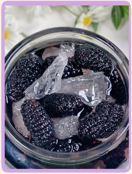 自制桑葚酒的正确方法_桑葚酒发酵多久能喝-第2张图片-山城妙识