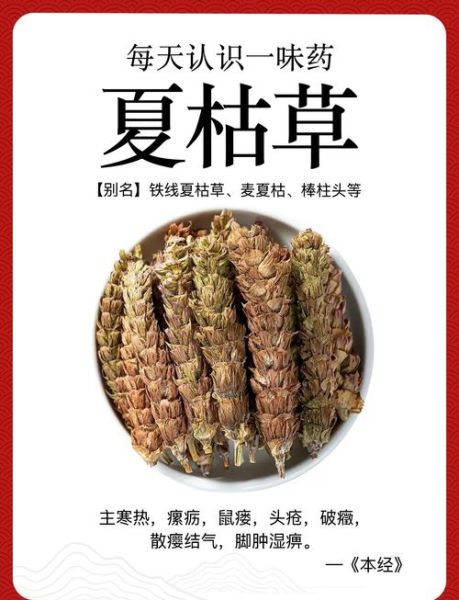 夏枯草膏的功效与作用_夏枯草膏能长期吃吗-第2张图片-山城妙识 夏枯草膏的功效与作用_夏枯草膏能长期吃吗-第2张图片-山城妙识