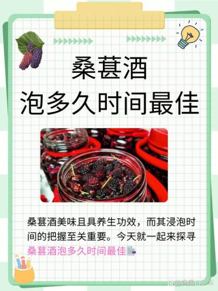 自制桑葚酒的正确方法_桑葚酒发酵多久能喝-第1张图片-山城妙识