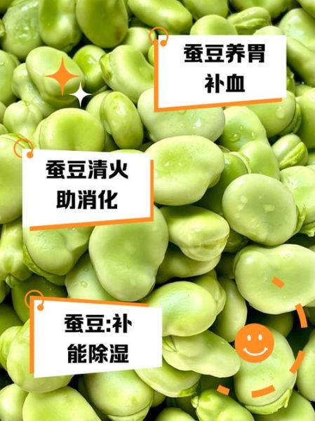 蚕豆的功效与作用禁忌_哪些人不能吃蚕豆-第2张图片-山城妙识