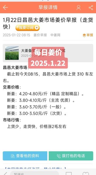 今日生姜价格多少钱一斤_生姜价格为何突然上涨-第1张图片-山城妙识 今日生姜价格多少钱一斤_生姜价格为何突然上涨-第1张图片-山城妙识