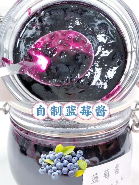 蓝莓酱可以冲水喝吗_蓝莓酱泡水喝的正确方法-第1张图片-山城妙识