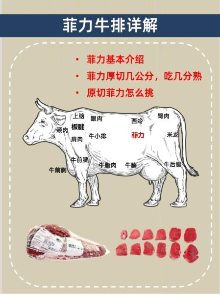 牛排用哪个部位的肉最好_菲力西冷还是肋眼-第2张图片-山城妙识 牛排用哪个部位的肉最好_菲力西冷还是肋眼-第2张图片-山城妙识