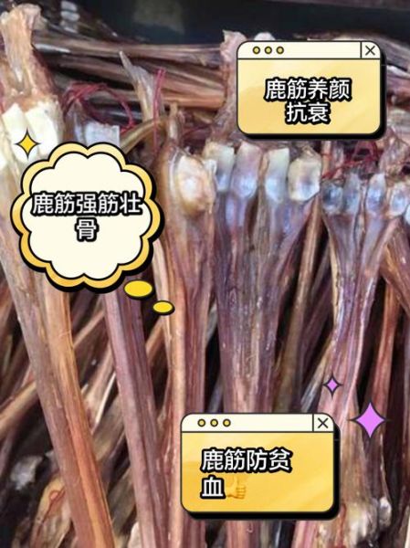 鹿筋的功效与作用_鹿筋适合什么人吃-第3张图片-山城妙识 鹿筋的功效与作用_鹿筋适合什么人吃-第3张图片-山城妙识