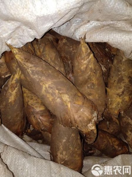 冬笋是什么_冬笋长什么样-第3张图片-山城妙识