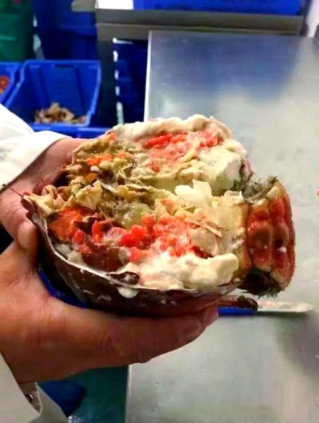 熟冻面包蟹怎么处理_解冻后怎么做好吃-第3张图片-山城妙识 熟冻面包蟹怎么处理_解冻后怎么做好吃-第3张图片-山城妙识