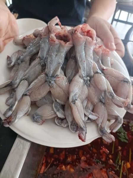 田鸡营养价值高吗_田鸡吃了有什么好处-第2张图片-山城妙识