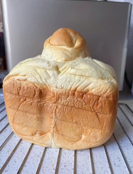 东菱面包机做面包的详细步骤_新手常见问题-第2张图片-山城妙识 东菱面包机做面包的详细步骤_新手常见问题-第2张图片-山城妙识