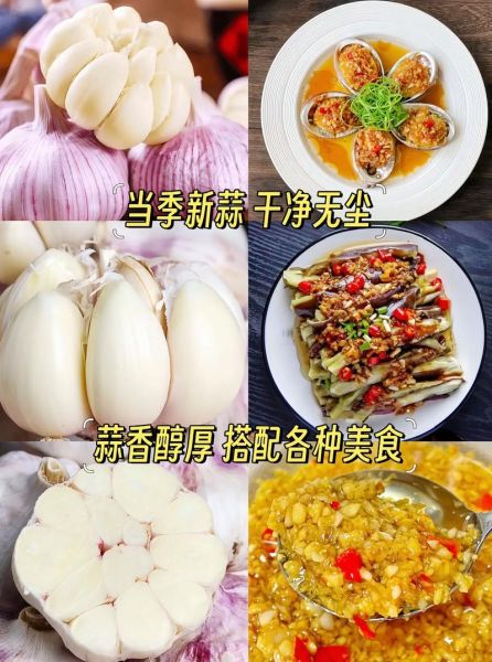 干大蒜头怎么腌制_干大蒜头腌制多久可以吃-第2张图片-山城妙识 干大蒜头怎么腌制_干大蒜头腌制多久可以吃-第2张图片-山城妙识