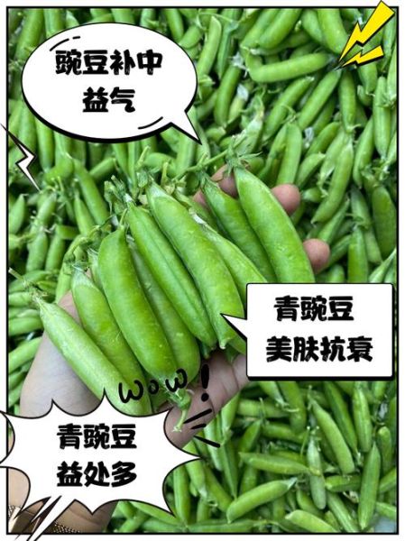 青豆的功效与作用_青豆怎么吃最好-第3张图片-山城妙识 青豆的功效与作用_青豆怎么吃最好-第3张图片-山城妙识