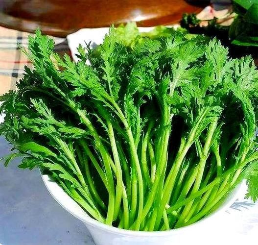 皇帝菜和茼蒿的区别图_皇帝菜就是茼蒿吗-第2张图片-山城妙识 皇帝菜和茼蒿的区别图_皇帝菜就是茼蒿吗-第2张图片-山城妙识