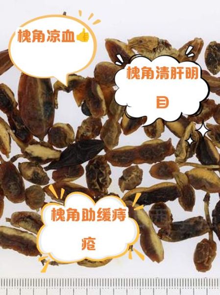 槐角的功效与作用_槐角怎么吃效果最好-第3张图片-山城妙识