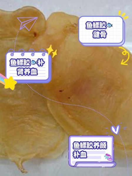 鱼鳔胶怎么做_鱼鳔胶的功效与做法-第2张图片-山城妙识