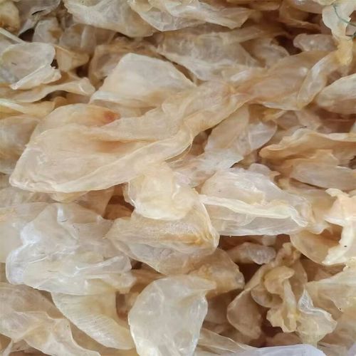 鱼鳔胶怎么做_鱼鳔胶的功效与做法-第3张图片-山城妙识