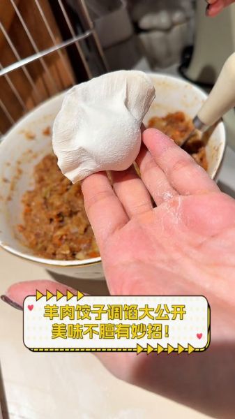 羊肉馅儿的饺子怎么调馅_羊肉饺子馅不膻的做法-第2张图片-山城妙识 羊肉馅儿的饺子怎么调馅_羊肉饺子馅不膻的做法-第2张图片-山城妙识