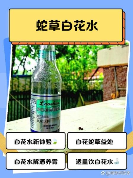 白花蛇草水女性为什么不能喝_经期能喝白花蛇草水吗-第1张图片-山城妙识