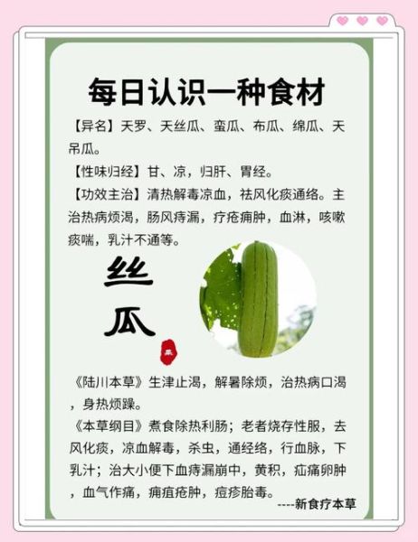 丝瓜的功效与作用及禁忌是什么_丝瓜怎么吃不上火-第1张图片-山城妙识 丝瓜的功效与作用及禁忌是什么_丝瓜怎么吃不上火-第1张图片-山城妙识