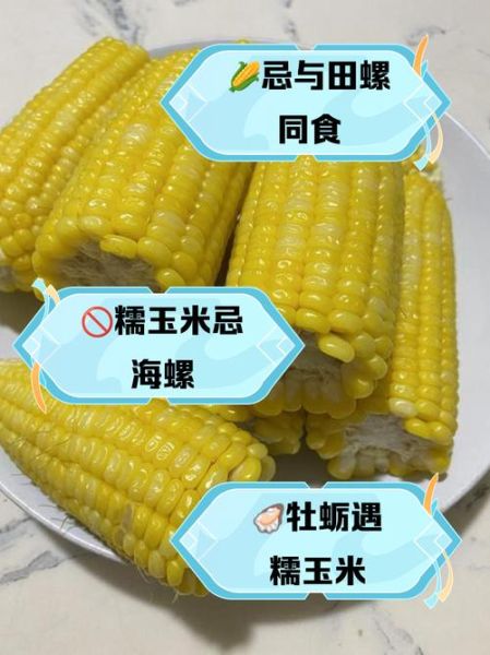 玉米不能和什么一起吃_哪些人不能吃玉米-第2张图片-山城妙识 玉米不能和什么一起吃_哪些人不能吃玉米-第2张图片-山城妙识