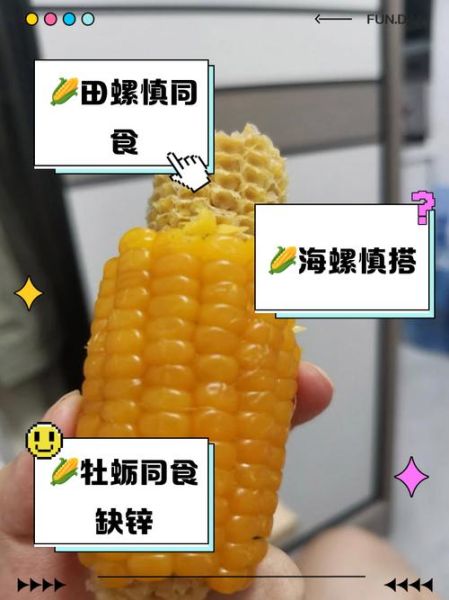玉米不能和什么一起吃_哪些人不能吃玉米-第3张图片-山城妙识 玉米不能和什么一起吃_哪些人不能吃玉米-第3张图片-山城妙识
