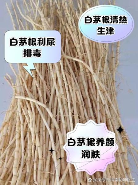 白茅根的功效与作用禁忌_什么人不能吃-第1张图片-山城妙识 白茅根的功效与作用禁忌_什么人不能吃-第1张图片-山城妙识