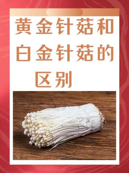 金针菇的功效与作用_金针菇的禁忌人群有哪些-第2张图片-山城妙识 金针菇的功效与作用_金针菇的禁忌人群有哪些-第2张图片-山城妙识