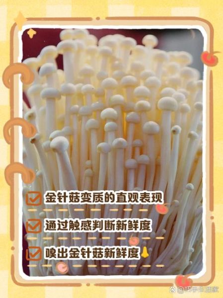 金针菇的功效与作用_金针菇的禁忌人群有哪些-第3张图片-山城妙识 金针菇的功效与作用_金针菇的禁忌人群有哪些-第3张图片-山城妙识