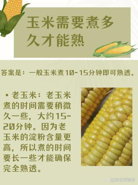 玉米煮多久能吃_新鲜玉米煮多久才熟-第2张图片-山城妙识 玉米煮多久能吃_新鲜玉米煮多久才熟-第2张图片-山城妙识