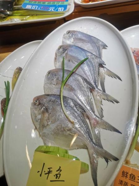 平鱼有刺吗_平鱼刺多不多-第1张图片-山城妙识 平鱼有刺吗_平鱼刺多不多-第1张图片-山城妙识