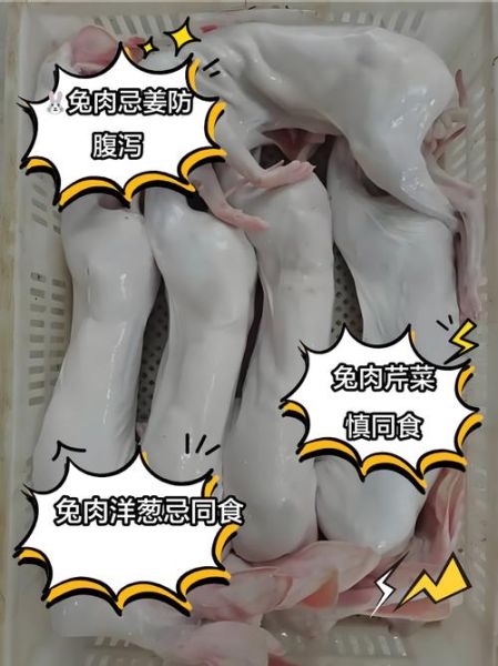 兔肉是发物吗_术后能吃兔肉吗-第2张图片-山城妙识